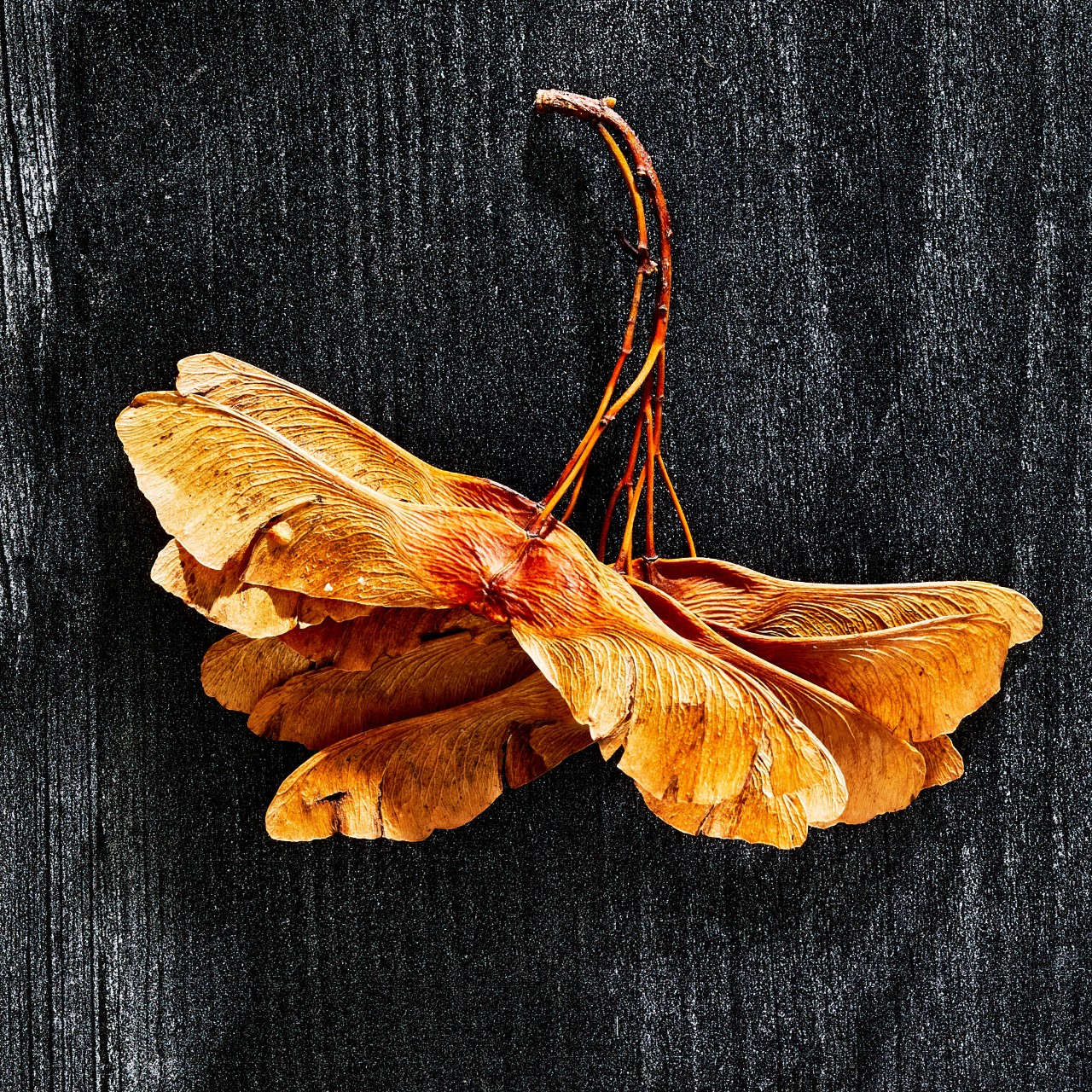 Bradley Hart - Summit Artspace